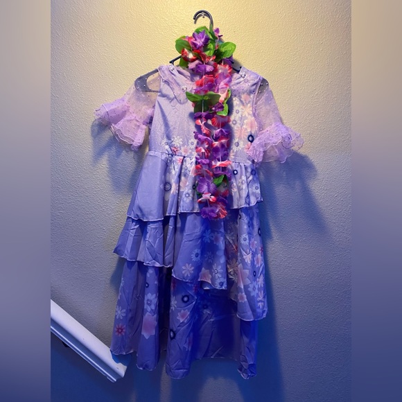 Disney | Costumes | Encanto Isabela Madrigal Costume | Poshmark